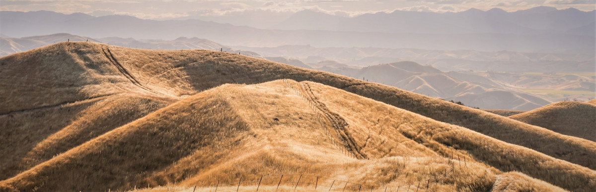 New Zealand Wildfire Summary | Fire and Emergency New Zealand