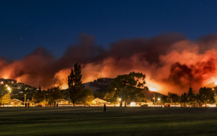 Home | Fire and Emergency New Zealand