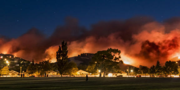 Outdoor and rural fire safety | Fire and Emergency New Zealand